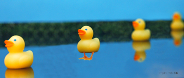 Herramientas creatividad: Preguntas para el Método SCAMPER | mprende.es ...